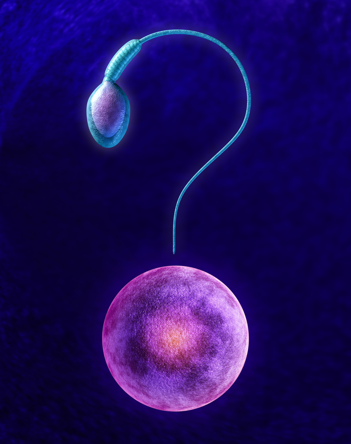 Poor Semen Quality Linked To Health Problems Viera Fertility