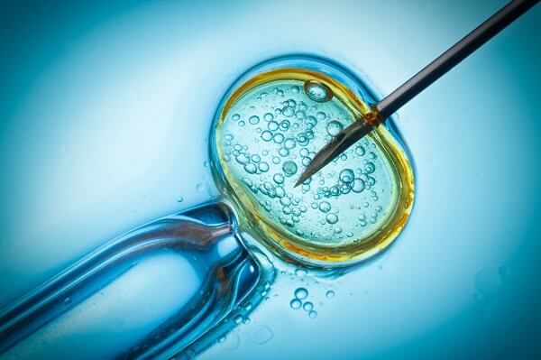 Choosing the Fertility Treatment That Is Best For Your Family - Viera ...