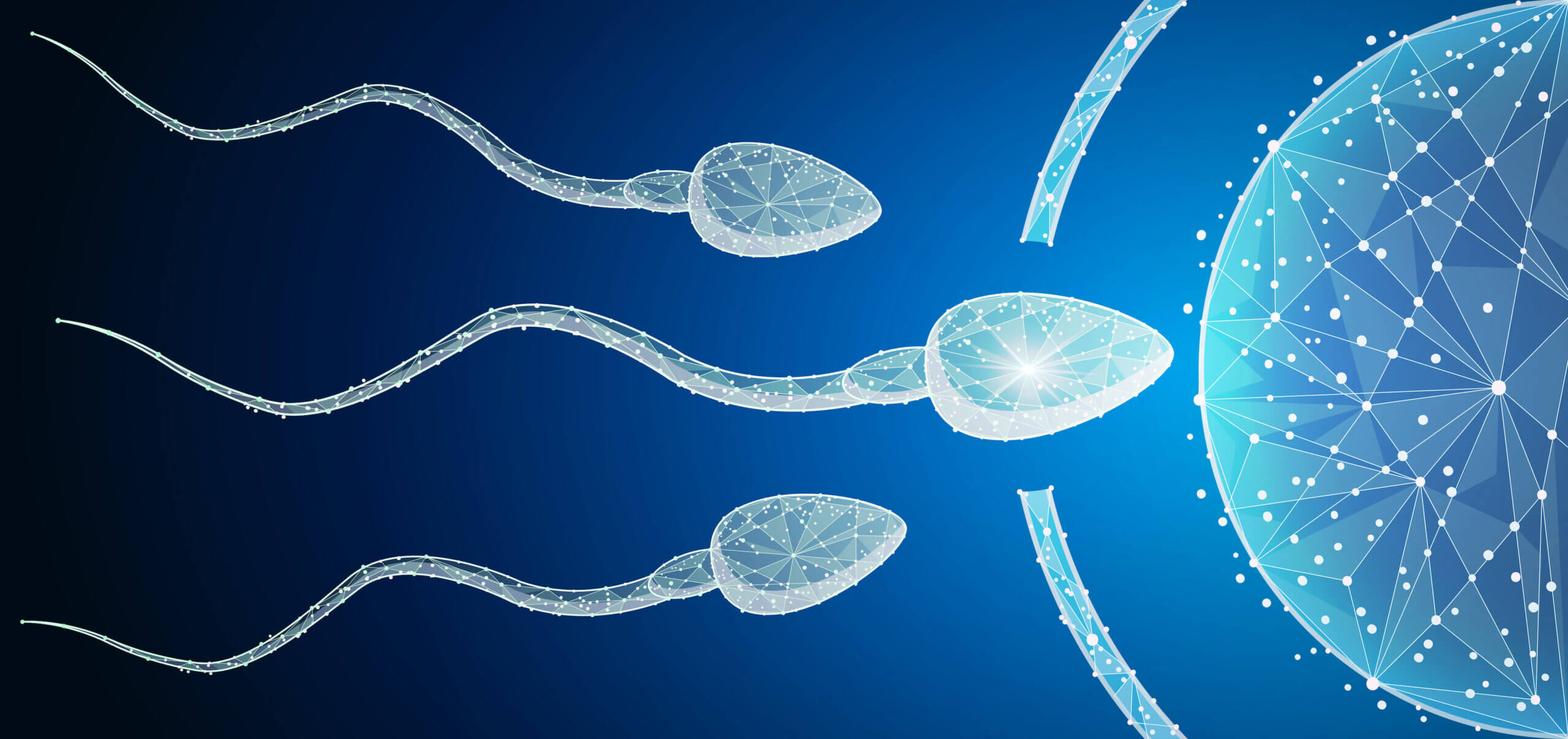 Treatment Series: Fertility Drug Therapy - Viera Fertility